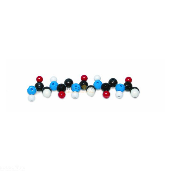 Polypeptide Molecular Model Kit Uganda, Manufacturers, Suppliers ...